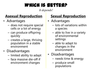 Reproduction | PPTX