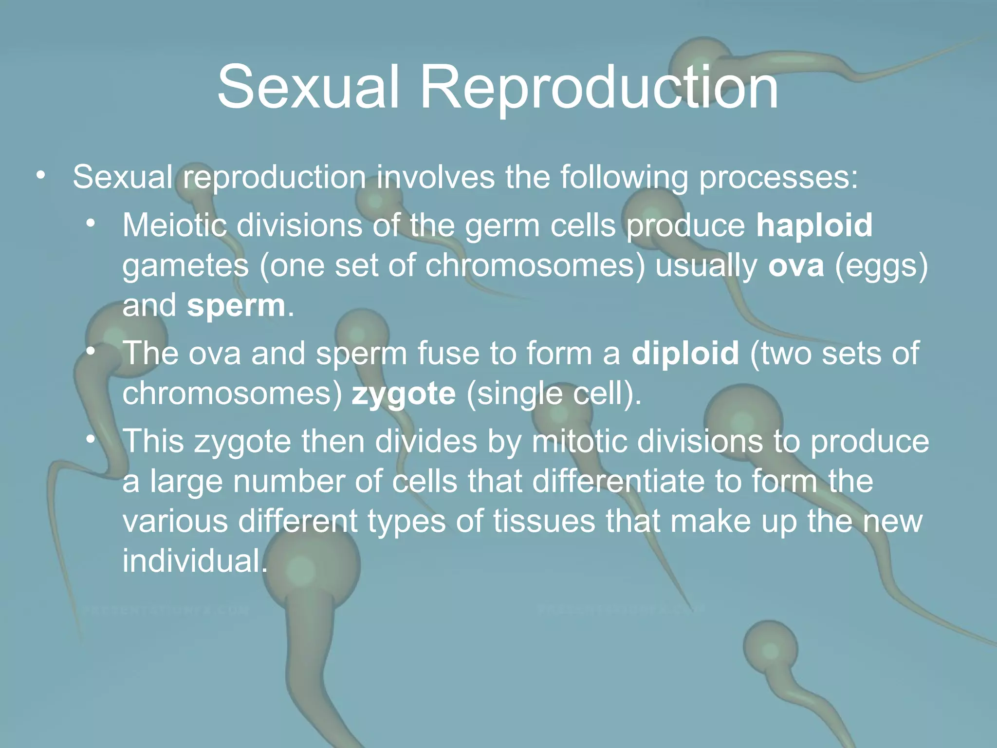 Reproduction | PPT