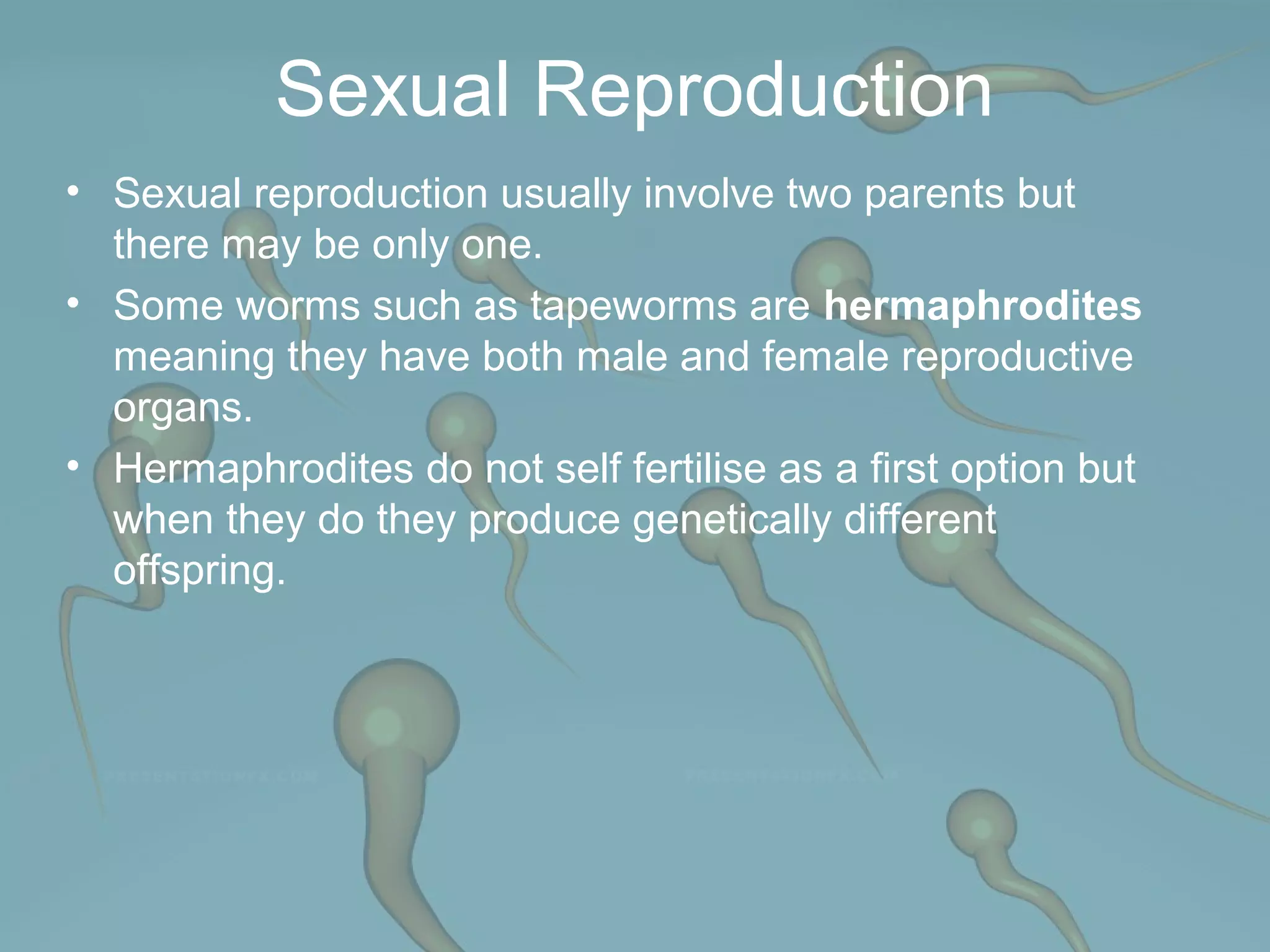 Reproduction | PPT