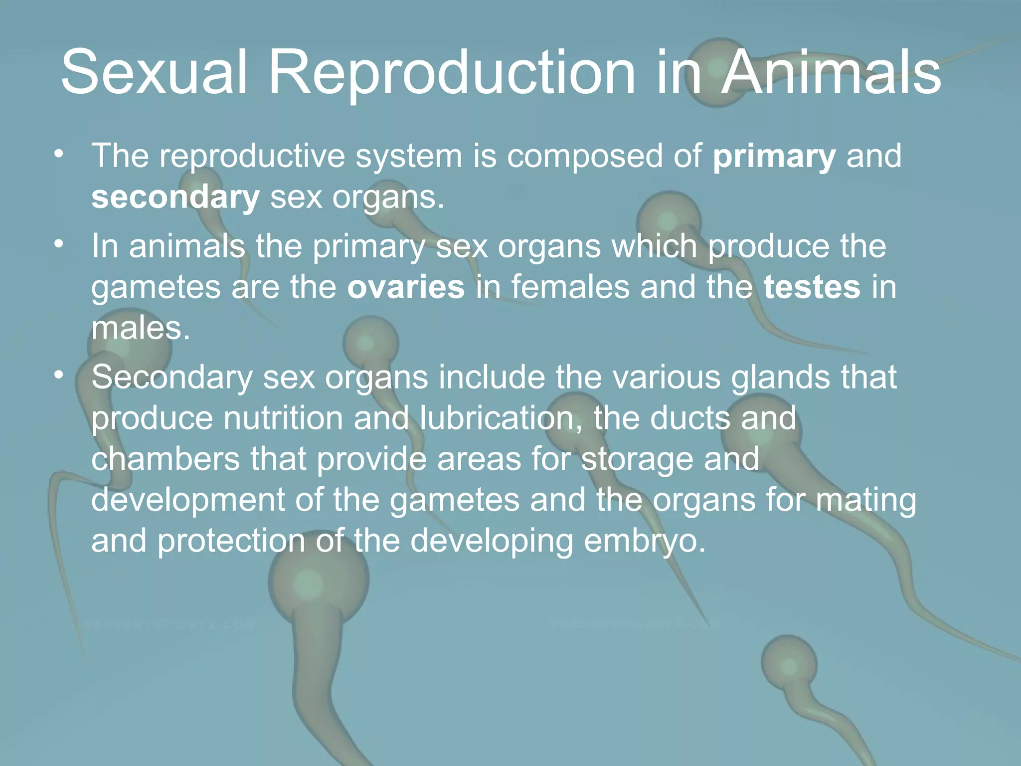 Reproduction | PPT