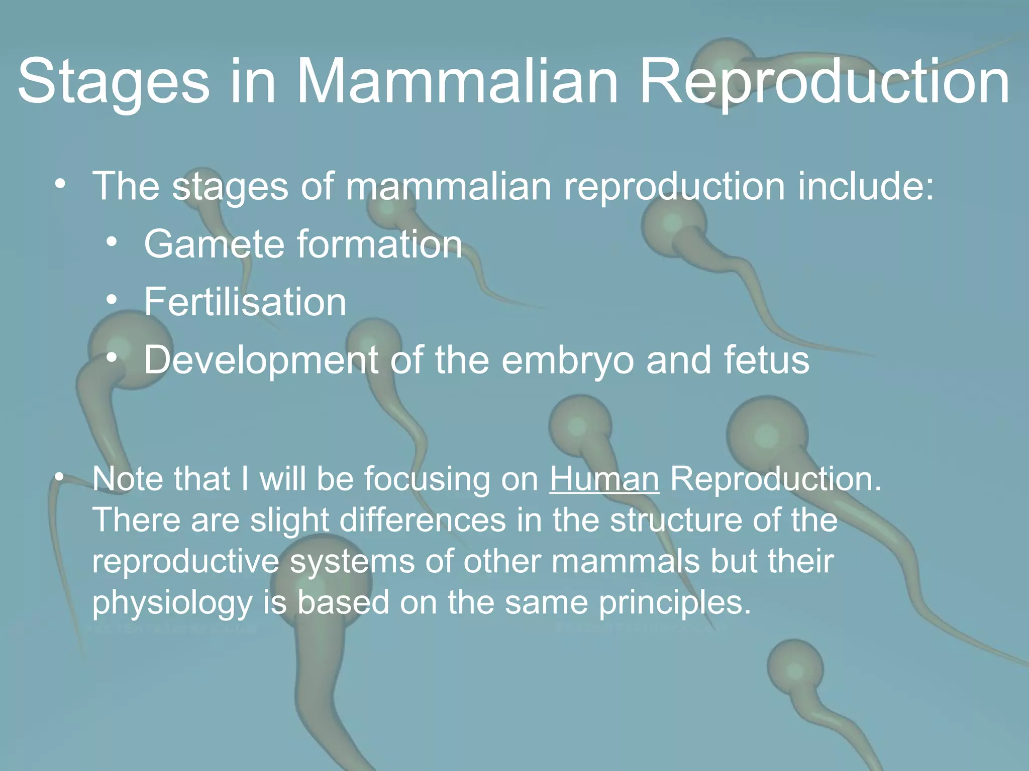 Reproduction | PPT