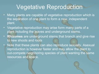 Reproduction | PPT