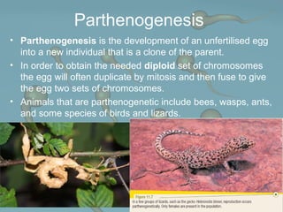 Reproduction | PPT