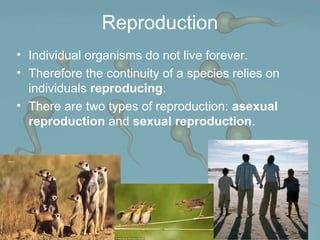 Reproduction | PPT | Infertility | Reproductive Health
