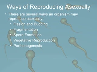 Reproduction | PPT