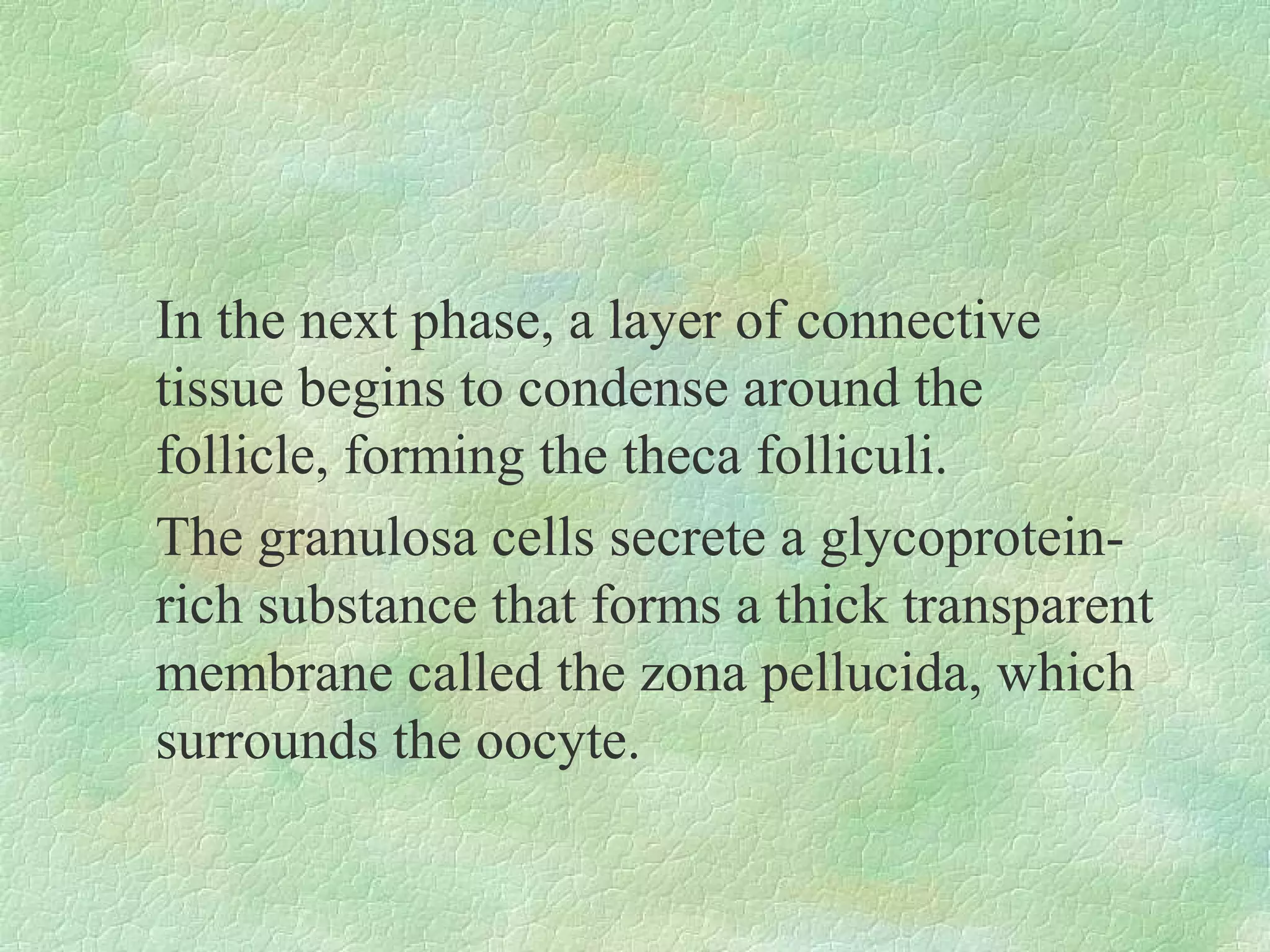 Reproduction | PPT