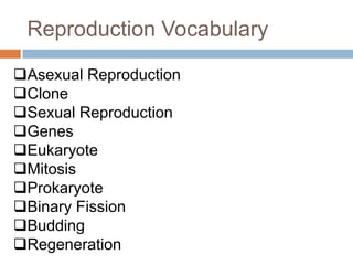Reproduction | PPT