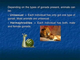 Reproduction | PPT