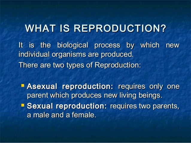 Reproduction Meaning
