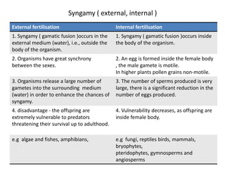 Reproduction-PUC_II | PPT