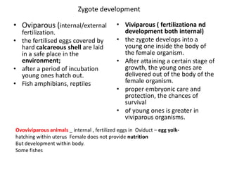 Reproduction-PUC_II | PPT