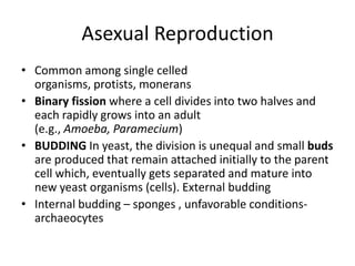Reproduction-PUC_II | PPTX