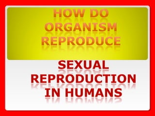 Reproduction | PPT