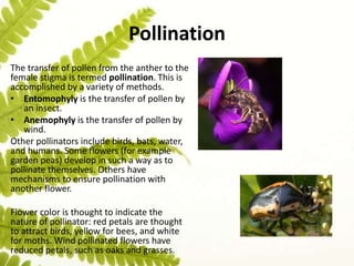 Reproduction | PPTX