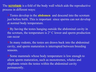 Reproduction | PPT