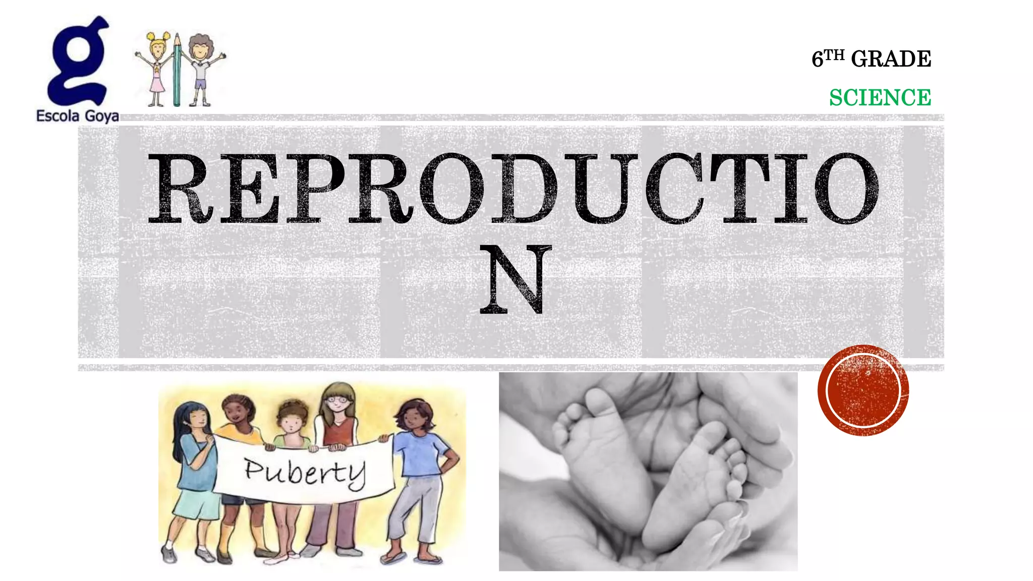 Reproduction 6TH | PPTX