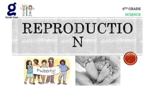Reproduction 6TH | PPTX