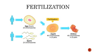 Reproduction 6TH | PPTX
