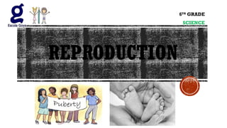 human reproduction systems elementary school | PPTX