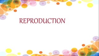 Reproduction | PPT