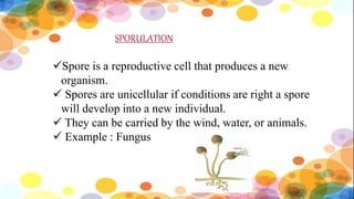Reproduction | PPT