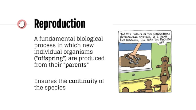 Animal Reproduction | PDF