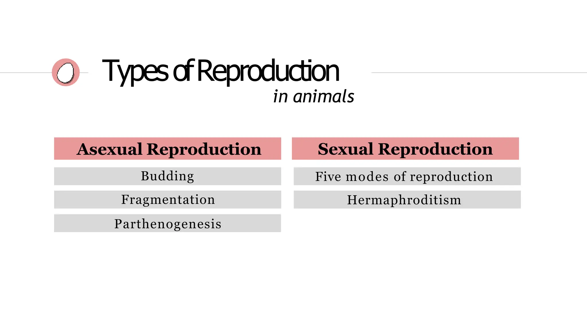 REPRODUCTION IN ANIMALS-Types of Reproduction | PPTX