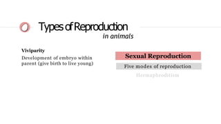 REPRODUCTION IN ANIMALS-Types of Reproduction | PPTX