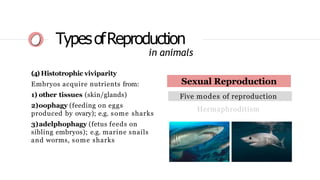 REPRODUCTION IN ANIMALS-Types of Reproduction | PPTX