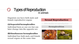 REPRODUCTION IN ANIMALS-Types of Reproduction | PPTX