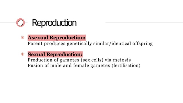 REPRODUCTION IN ANIMALS-Types of Reproduction | PPTX