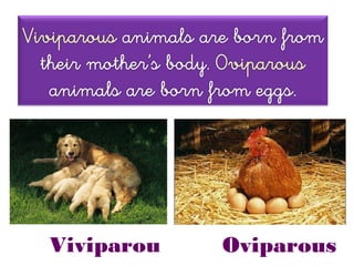 Reproduction | PPT | Reproductive Health | Diseases and Conditions