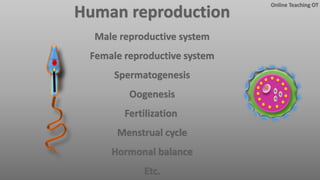 Reproduction in human | PDF