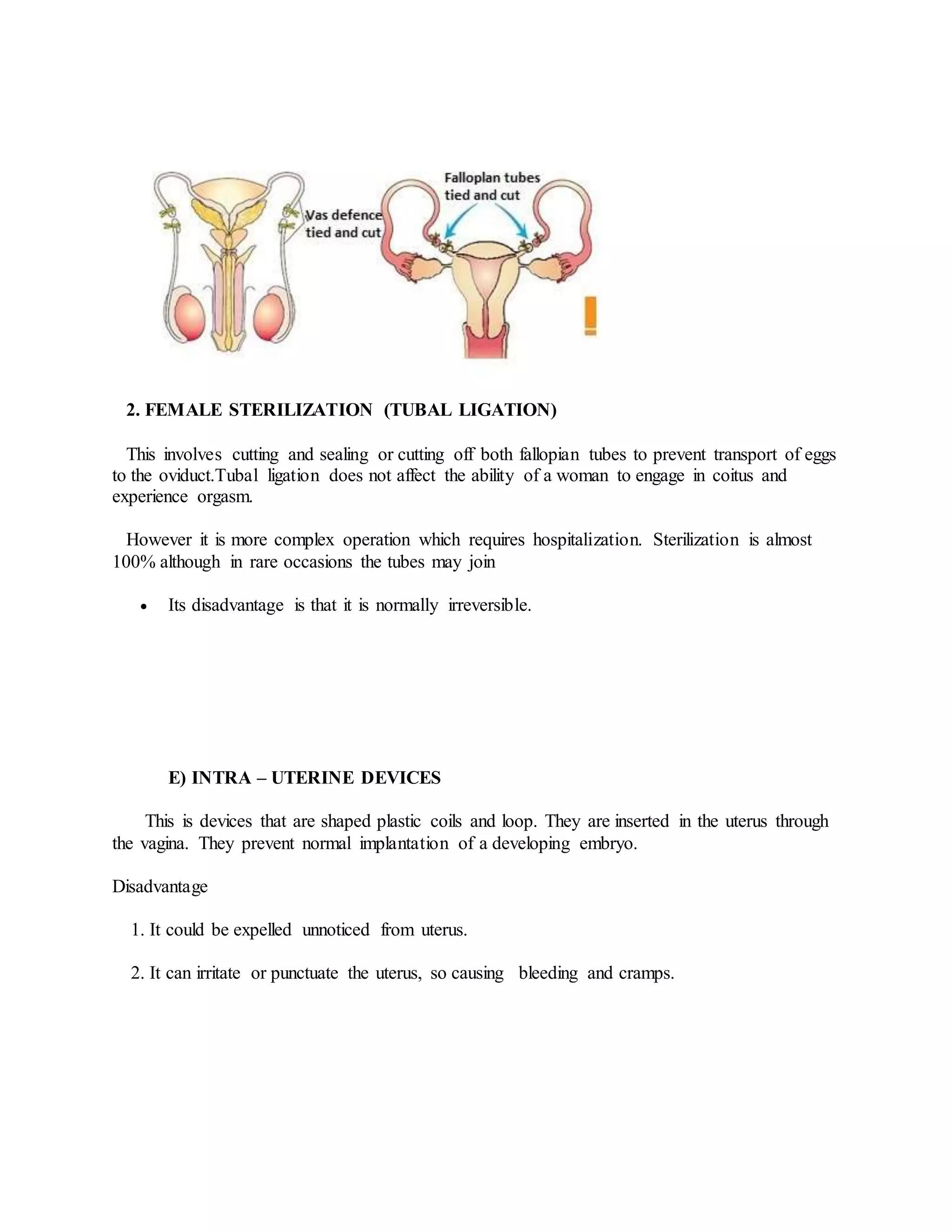 Reproduction 2 | DOCX