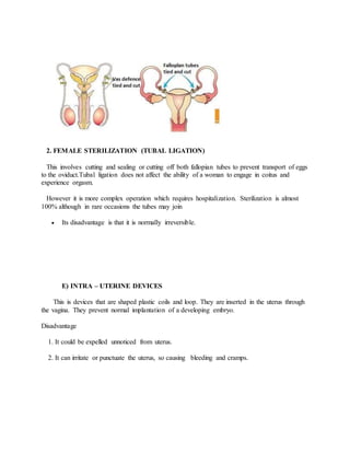 Reproduction 2 | PDF