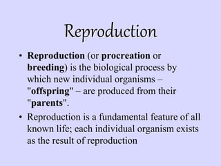 Reproduction | PPT