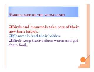 REPRODUCTION IN ANIMALS | PDF