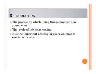 REPRODUCTION IN ANIMALS | PDF