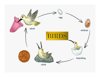 REPRODUCTION IN ANIMALS | PDF