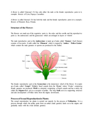 Reproduction | DOCX