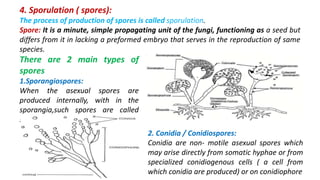 REPRODUCTION IN PLANT PATHOGENIC FUNGI | PPTX