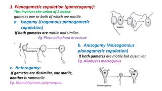 REPRODUCTION IN PLANT PATHOGENIC FUNGI | PPTX