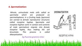 REPRODUCTION IN PLANT PATHOGENIC FUNGI | PPTX
