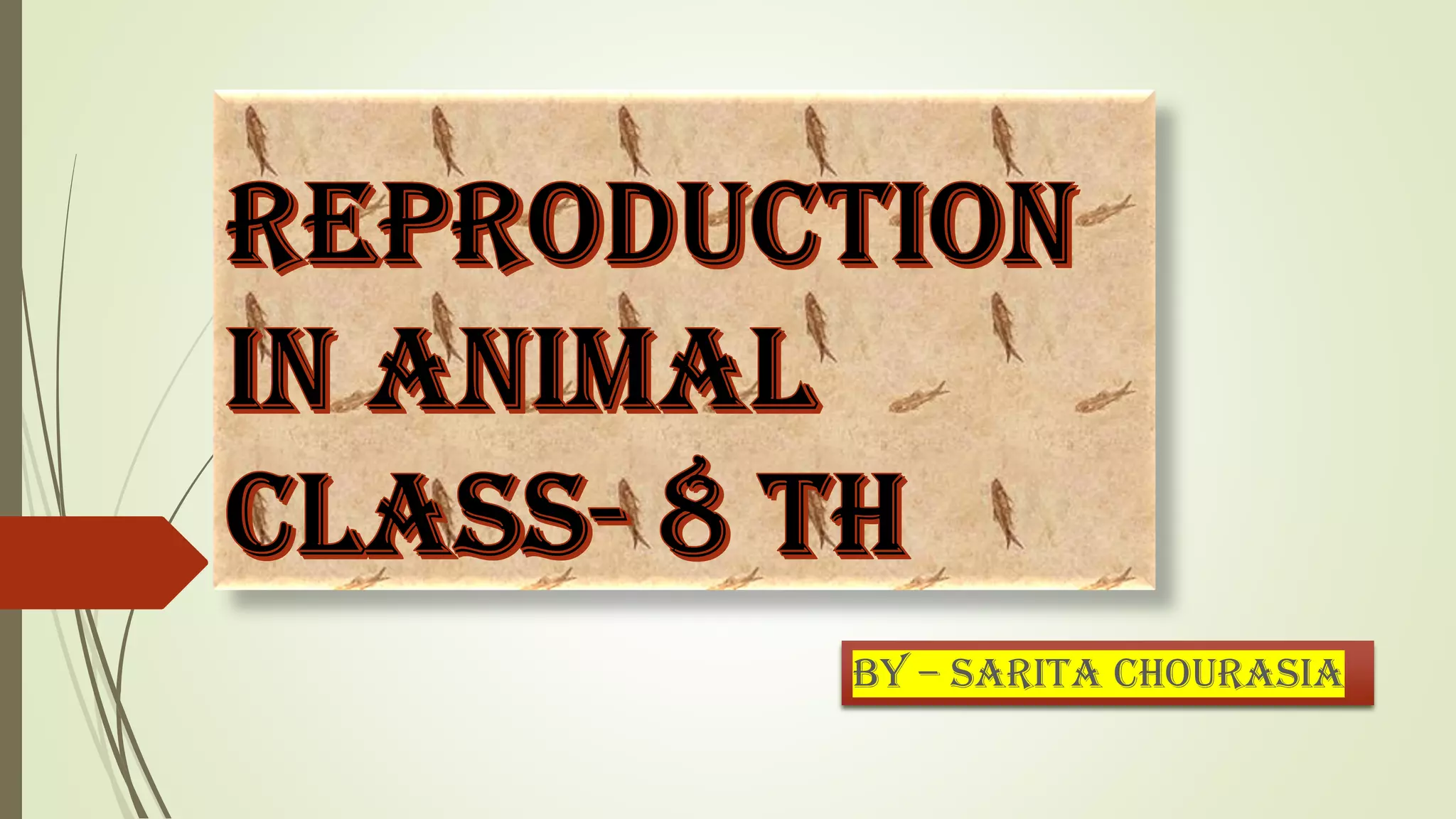 Reproduction in animal for class 8th by Sarita Chourasia | PDF