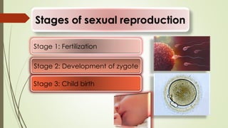 Reproduction in animal for class 8th by Sarita Chourasia | PDF