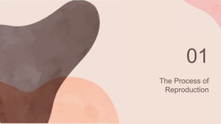 Reproduction | PPTX | Pregnancy | Reproductive Health