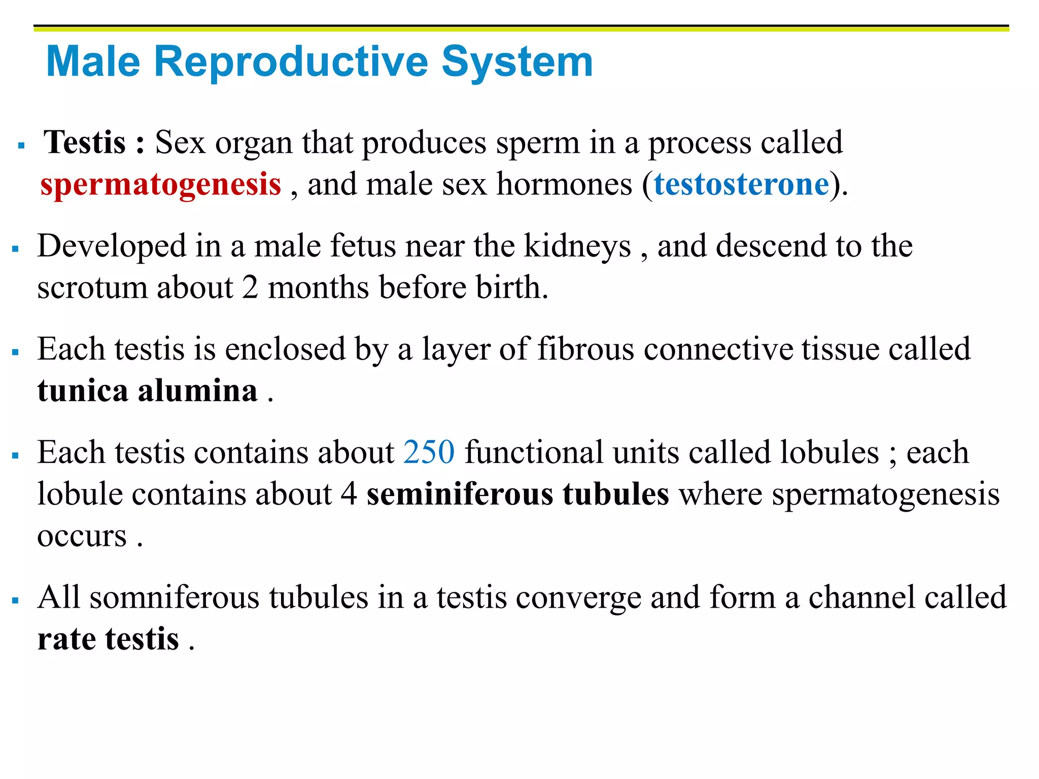 Reproduction.pptx