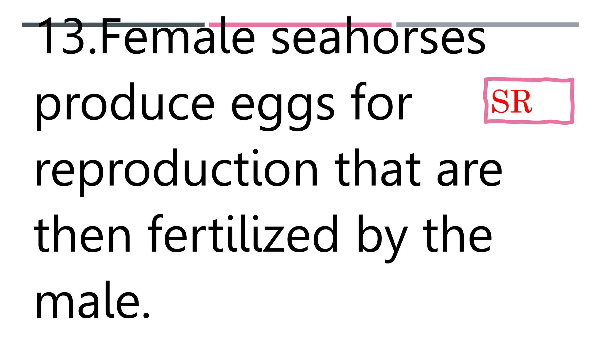 Reproduction(sexual and asexual.worksheet.pptx