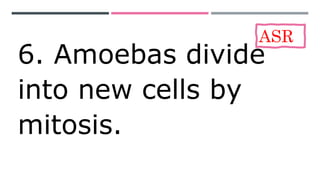 Reproduction(sexual and asexual.worksheet.pptx