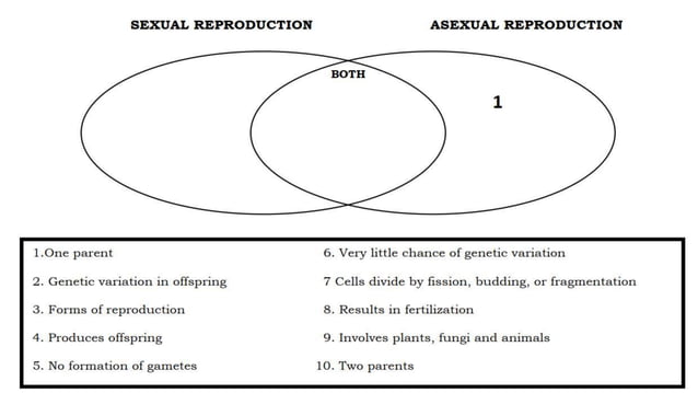Reproduction(sexual and asexual.worksheet.pptx